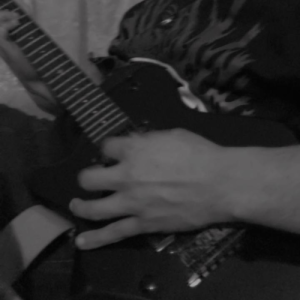 Free Guitar Reverb Rock Guitar Electric Loop By Sinfaint #387025 Looperman