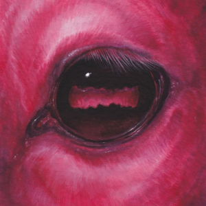 Vccvcvbgfcx From Canada - My Profile At Looperman.com