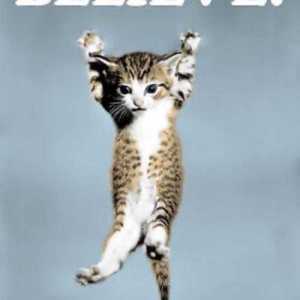 Free Guitar Thingy Lo-fi Guitar Electric Loop By Raccoon42 #368917 ...